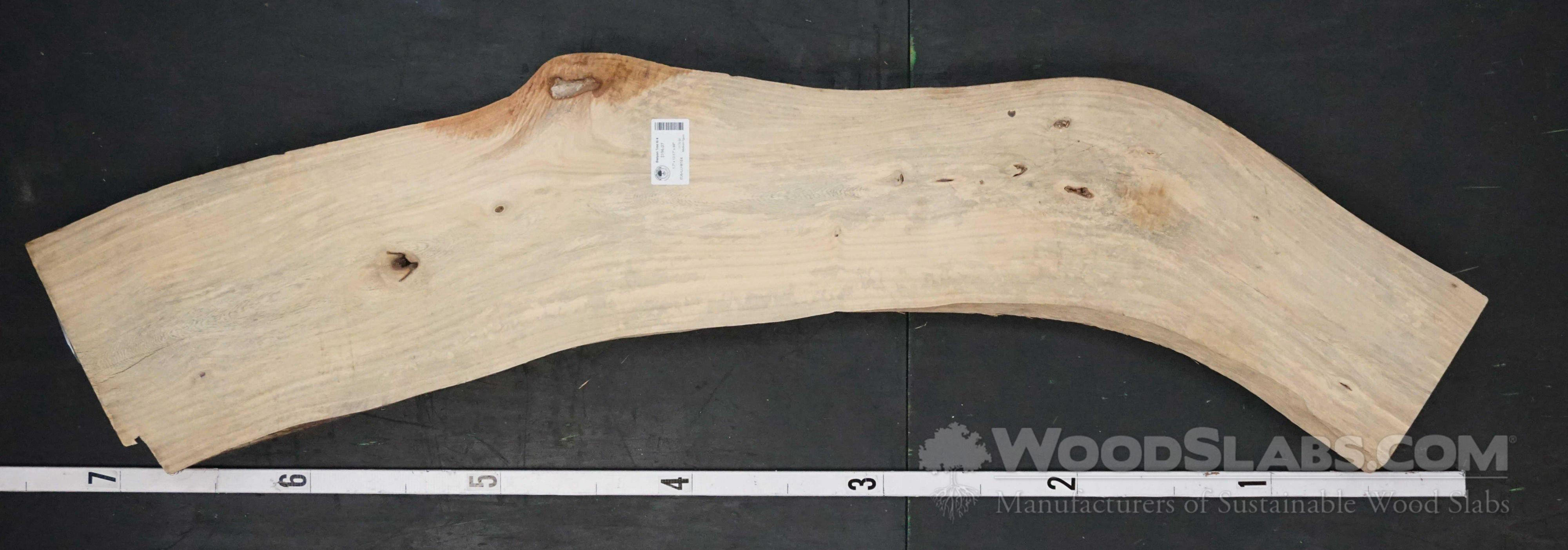 Banyan (Cuban Laurel)