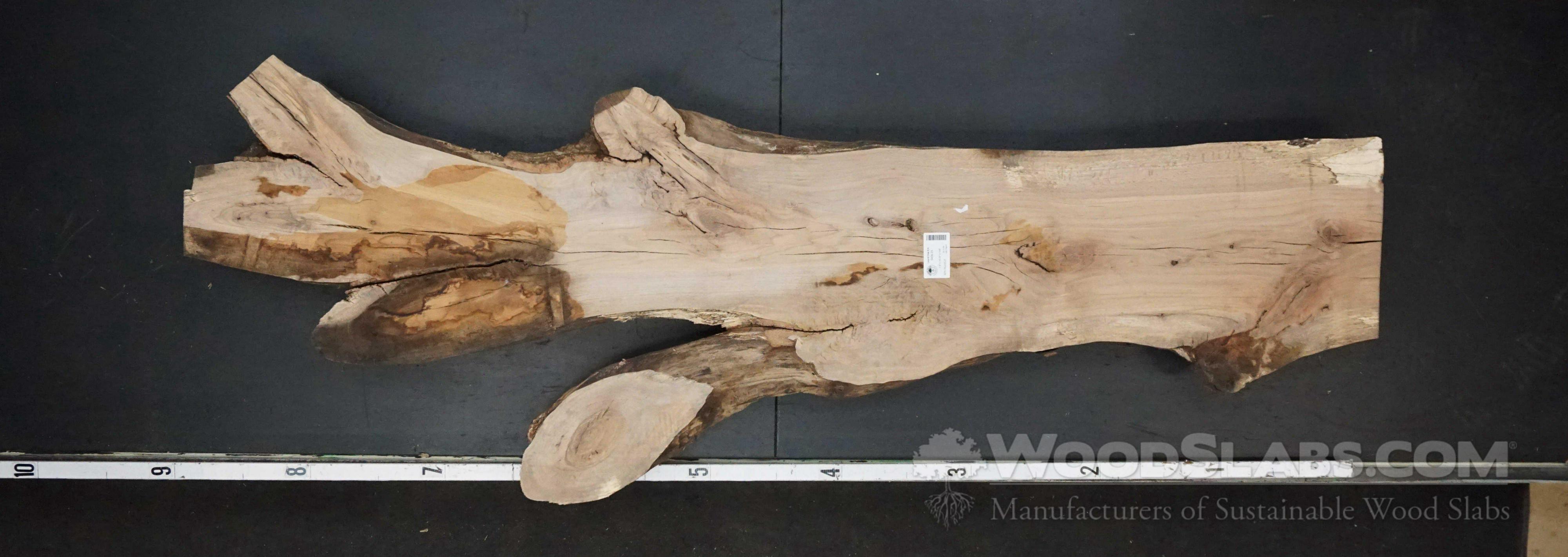 WoodSlabs.com - Laurel Oak
