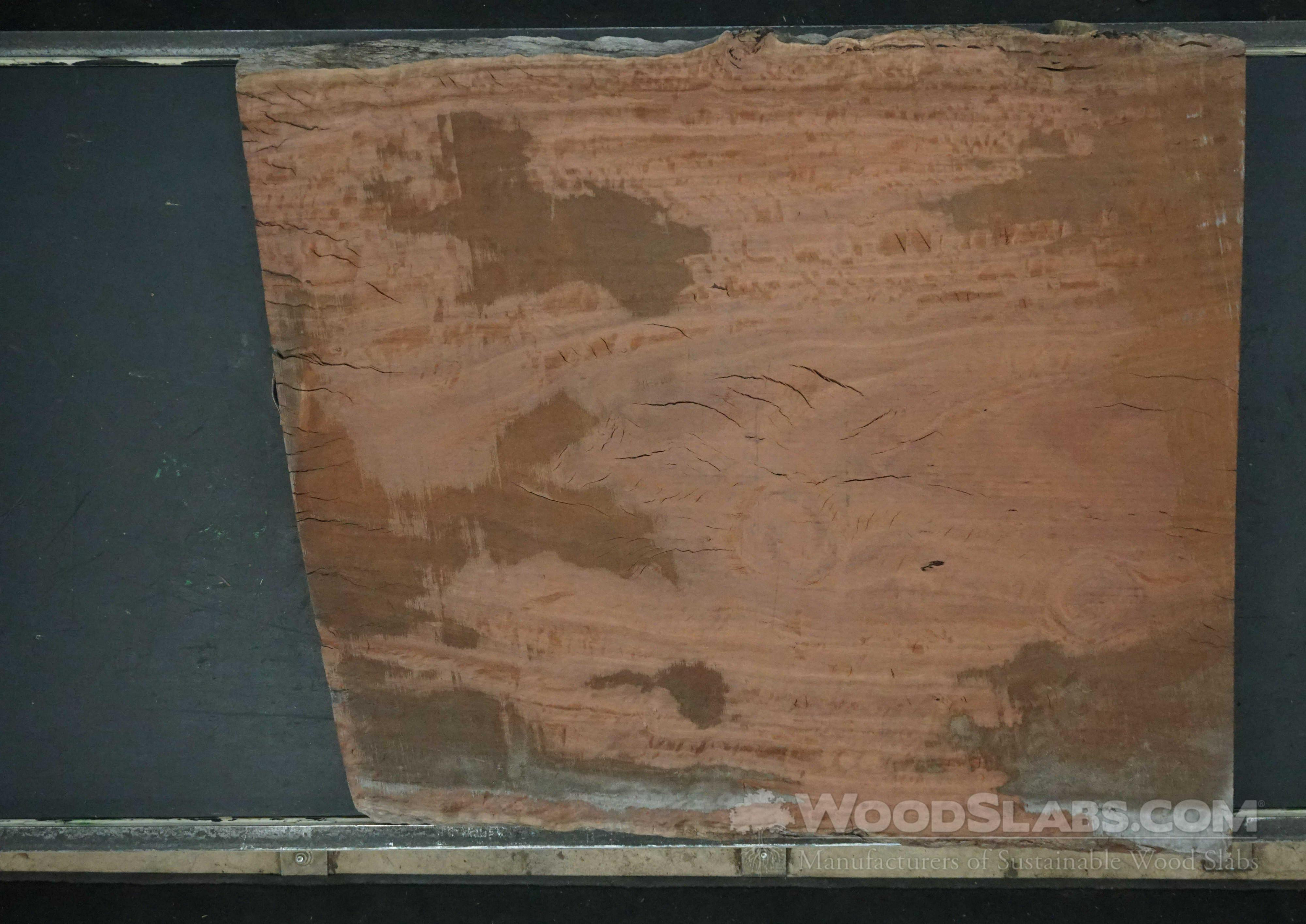 WoodSlabs.com - 49" to 60"