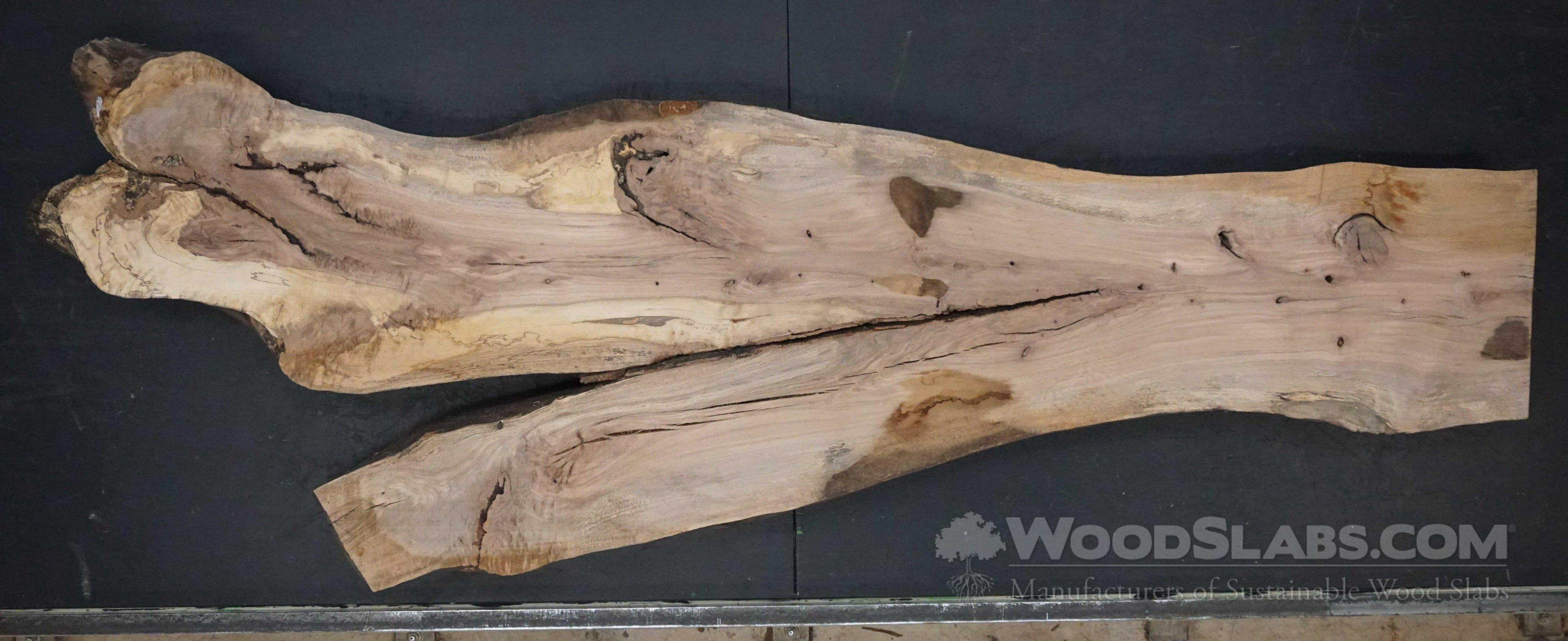 WoodSlabs.com - Laurel Oak