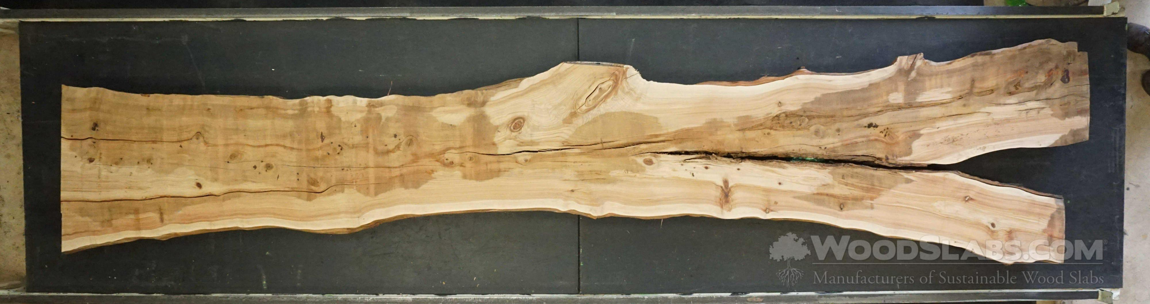 WoodSlabs.com - Atlantic White Cedar