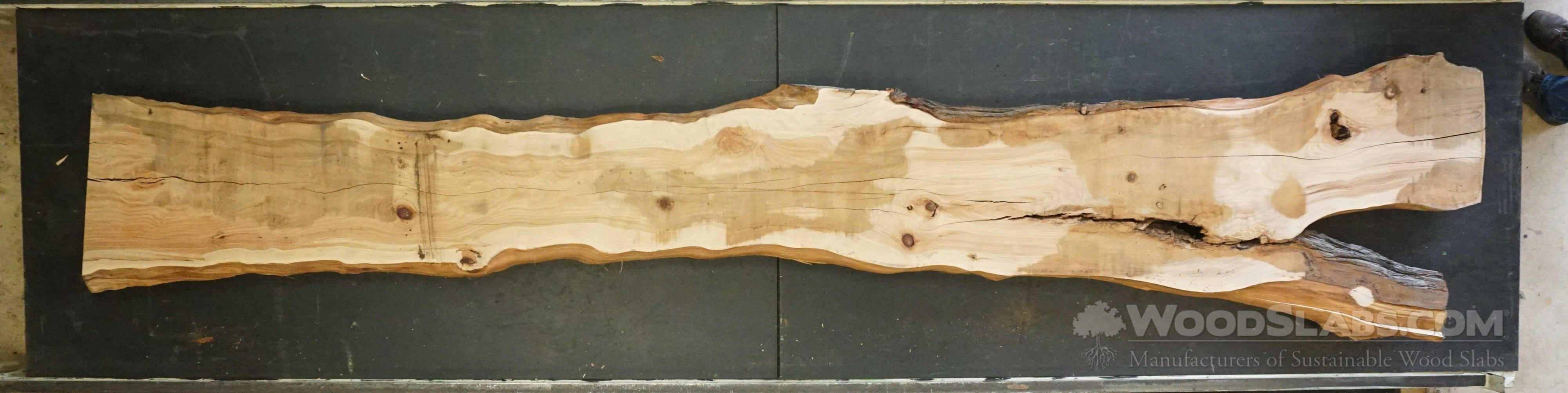 WoodSlabs.com - Atlantic White Cedar