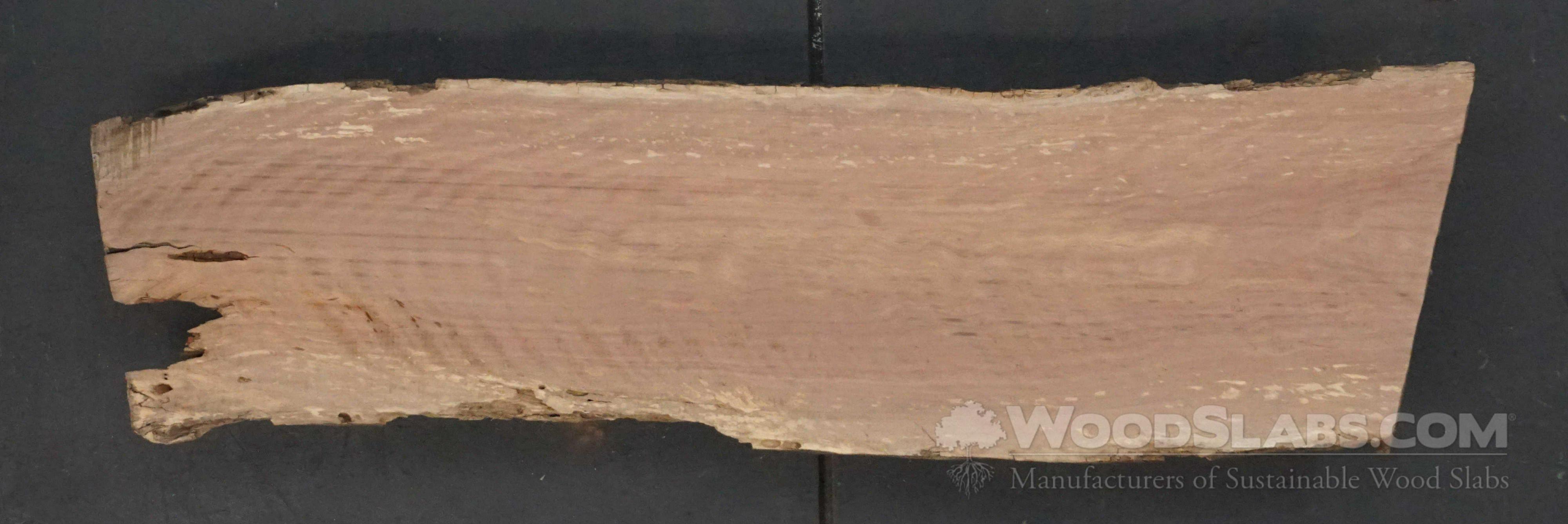 WoodSlabs.com - Laurel Oak