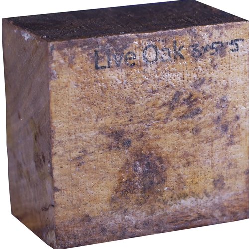 WoodSlabs.com - 3" x 5" x 5" Live Oak Turning Blanks