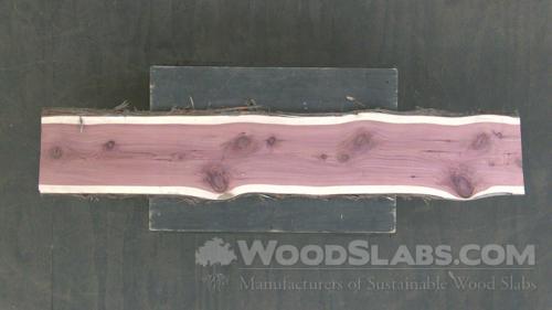 Wood Slabs - Wood Slabs For Sale
