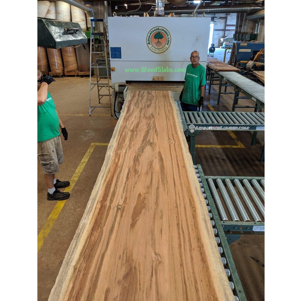 WoodSlabs.com - Long Length Slabs