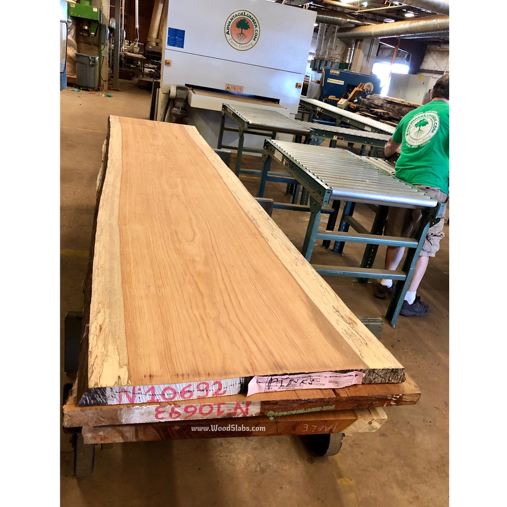 WoodSlabs.com - Long Length Slabs